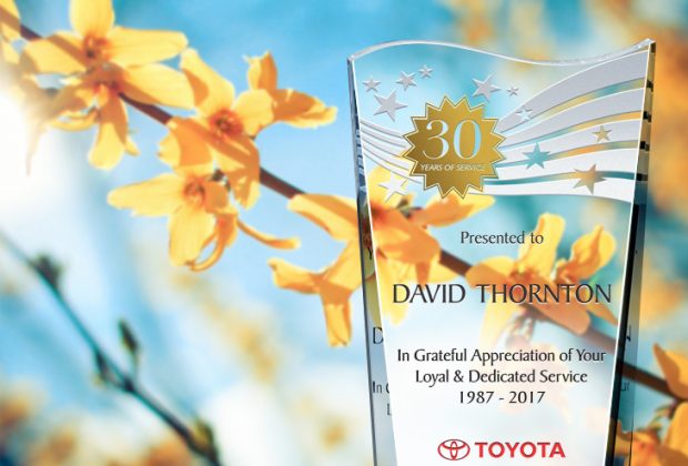 Years of Service Award Ideas - DIY Awards