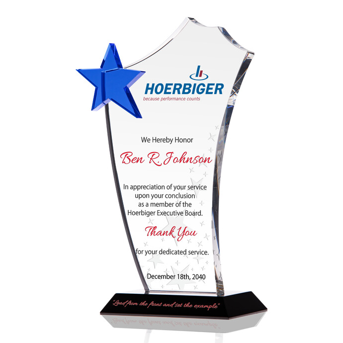 Board of Director Appreciation Award Plaque | DIY Awards