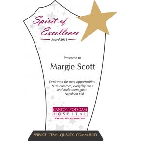 Gold Star Spirit of Excellence Award Plaque - DIY Awards