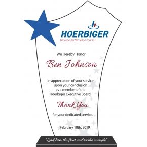 Board of Director Appreciation Award Plaque - DIY Awards