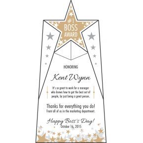 Star Boss Award | DIY Awards